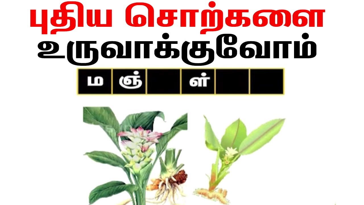 புதிய சொற்களை உருவாக்குவோம் | Learn Tamil for Beginners | Tamil ...