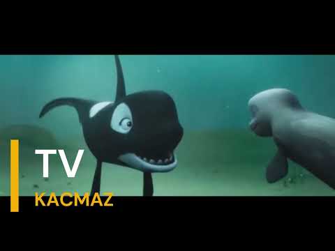 Cesur Balina Katak Dublajlı Teaser 2024