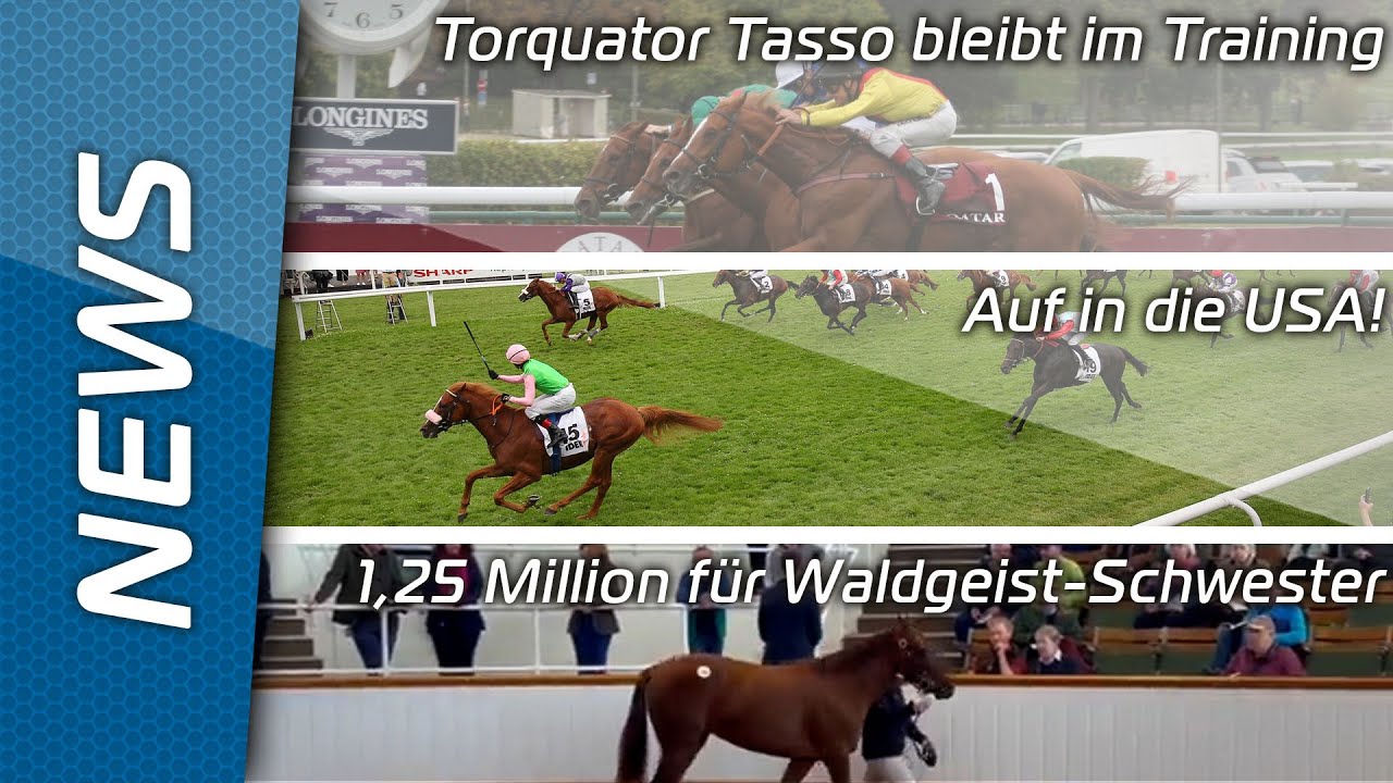 Sport-Welt TV News - 8.10.2021 - YouTube