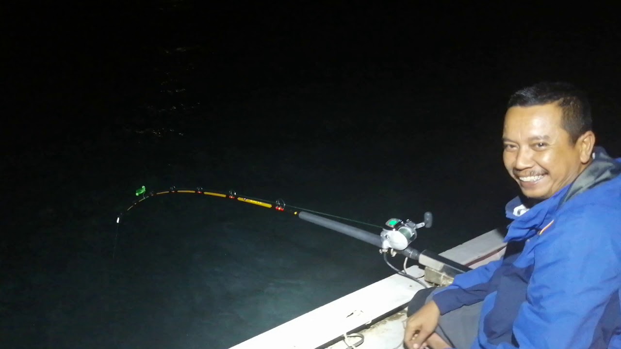 Golden snapper 4kg ship line - YouTube