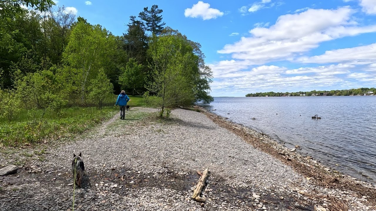 Natural Abundance In Spring At Lemoine Point Conservation Area ...