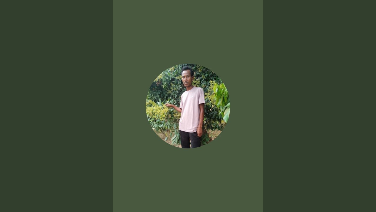 Laining tv is live - YouTube