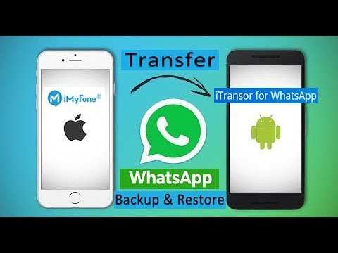 Transfer WhatsApp between iPhone and Android | iMyFone iTransor for ...