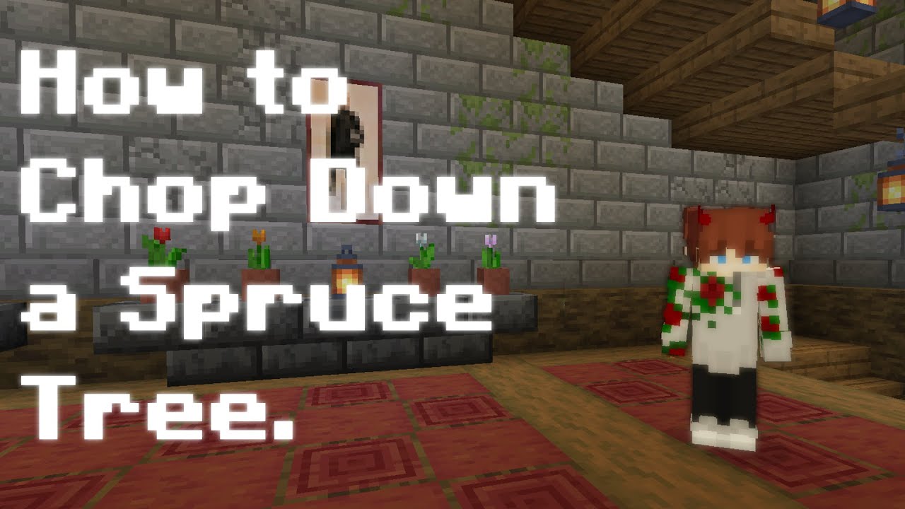 How To Chop Down A Spruce Tree YouTube how-to-chop-down-a-spruce-tree-youtube