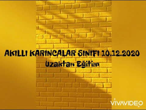 AKILLI KARINCALAR SINIFI 10.12.2020 Uzaktan Eğitim
