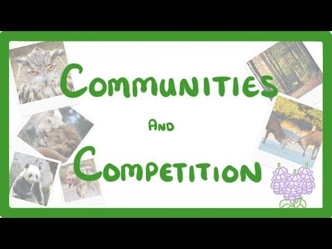What Is A Stable Community In Ecology