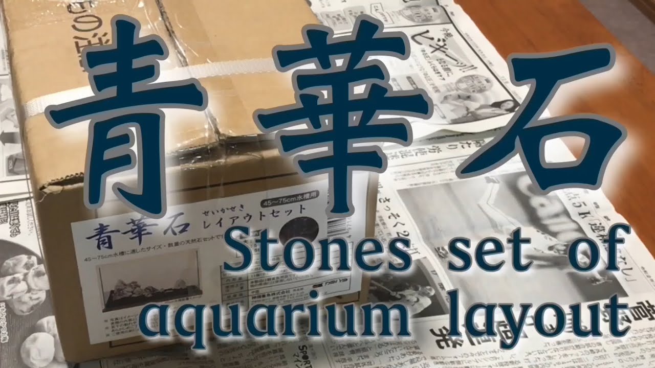 カミハタ青華石レイアウトセット / KAMIHATA Gorgeous Blue stones layout set - YouTube