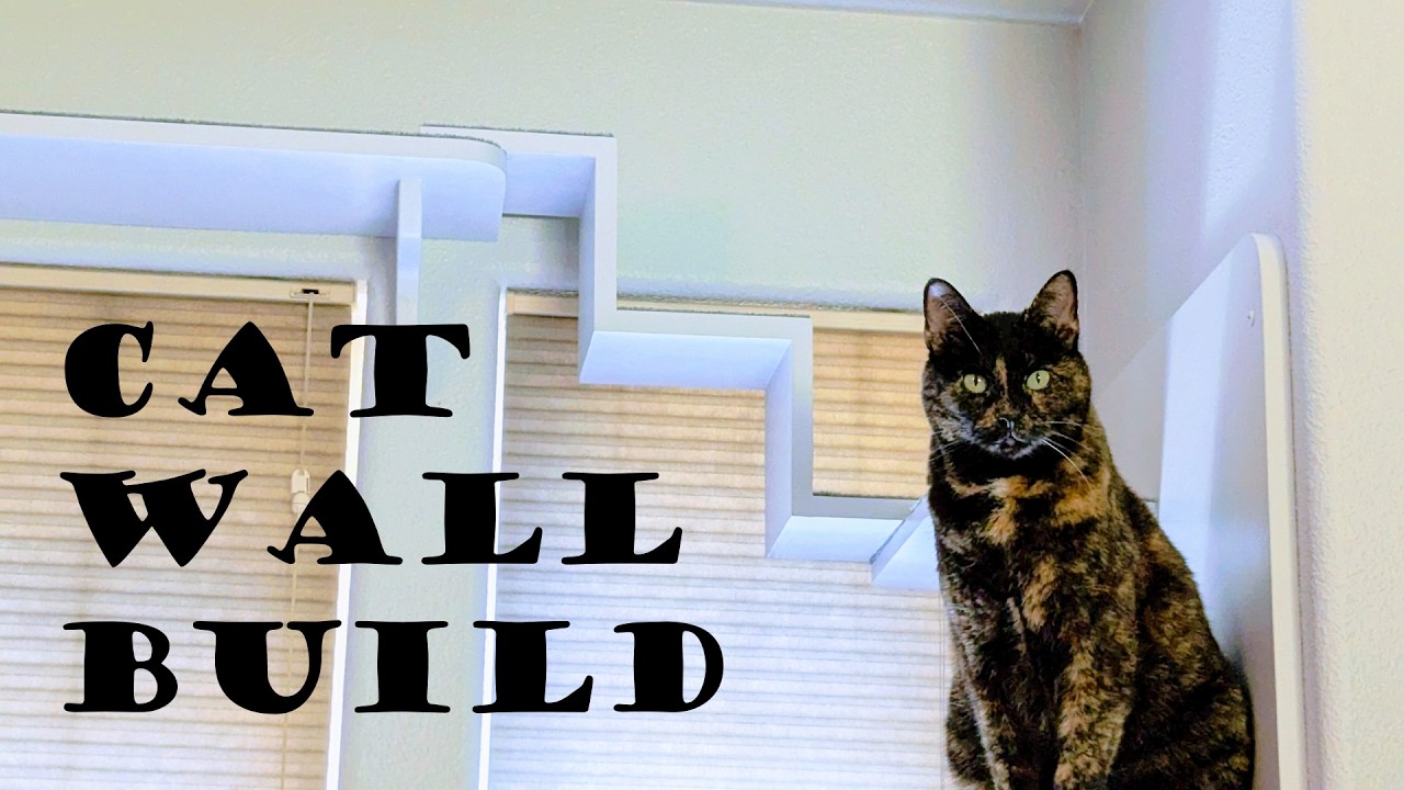 Building a Cat Wall for a Cool Cat - YouTube