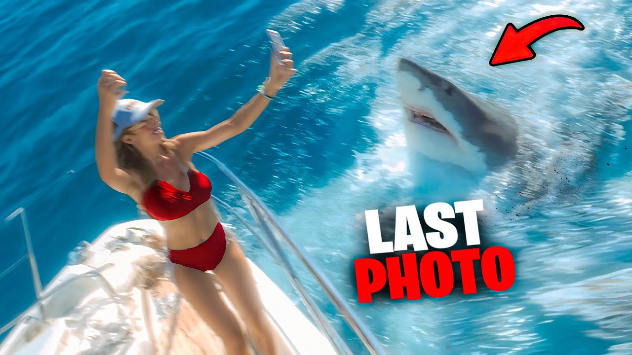 5 DUMB Times They Ignored Shark Warnings! - YouTube
