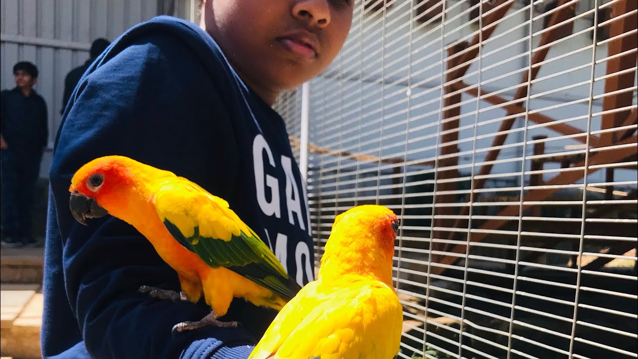 Peeku park,must visit place in Yercaud - YouTube