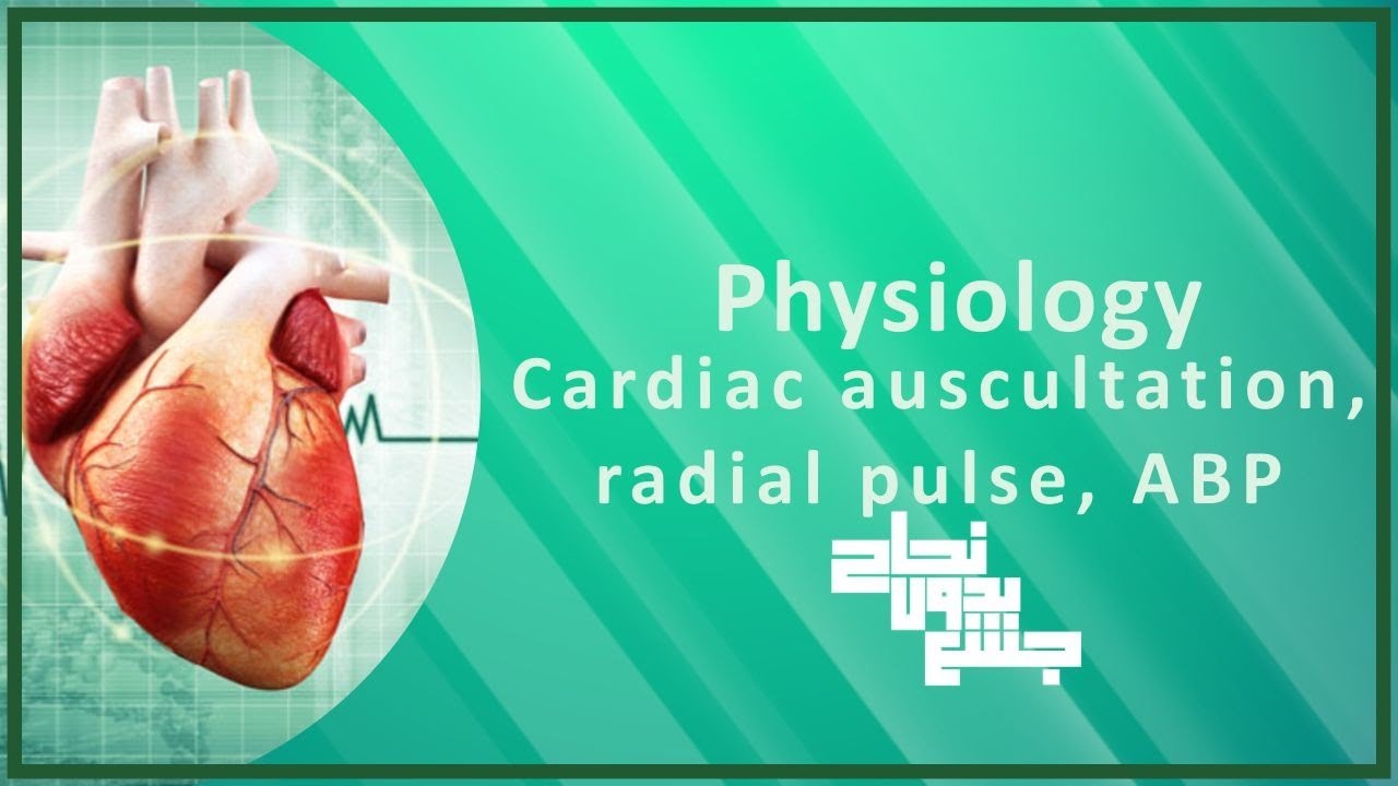 pract 1, Cardiac auscultation , radial pulse , ABP, physio - YouTube