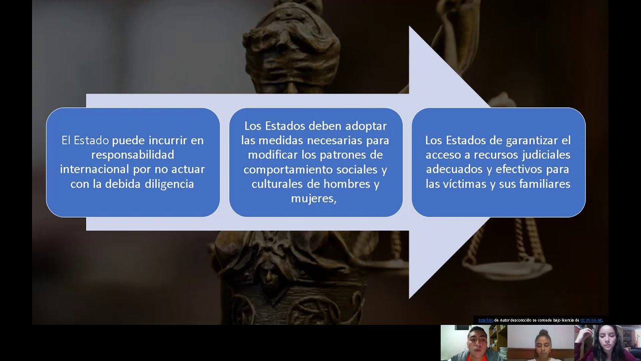 CASO JESSICA LENAHAN VS. ESTADOS UNIDOS - GRUPO 3 / INTEGRANTES: GARCÍA ...