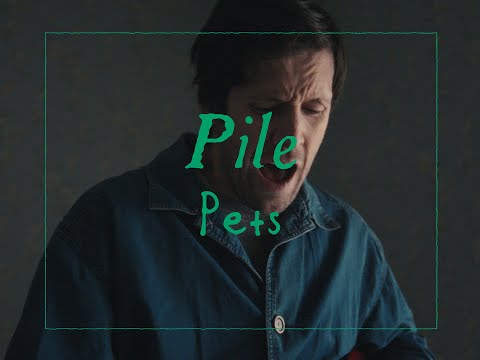 Pile - Pets | SOTP