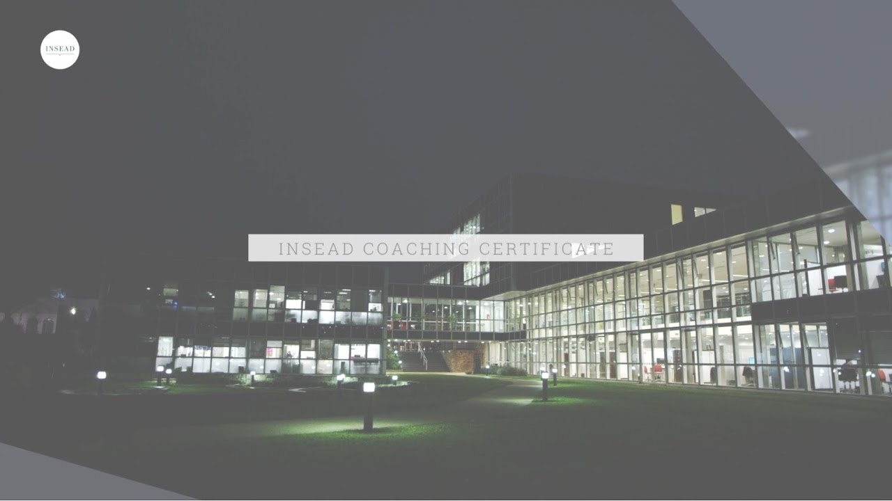 INSEAD Coaching Certificate – the art and practice of coaching - YouTube