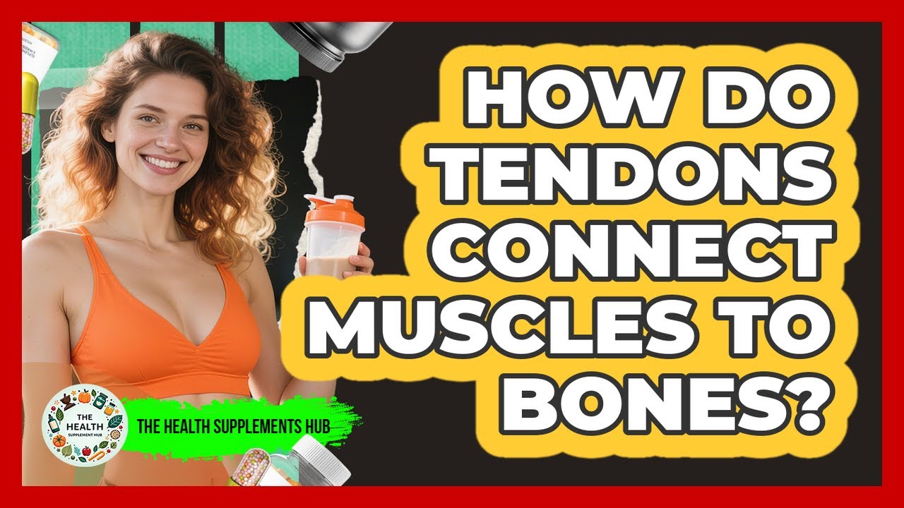 How Do Tendons Connect Muscles To Bones? - The Health Supplement Hub ...