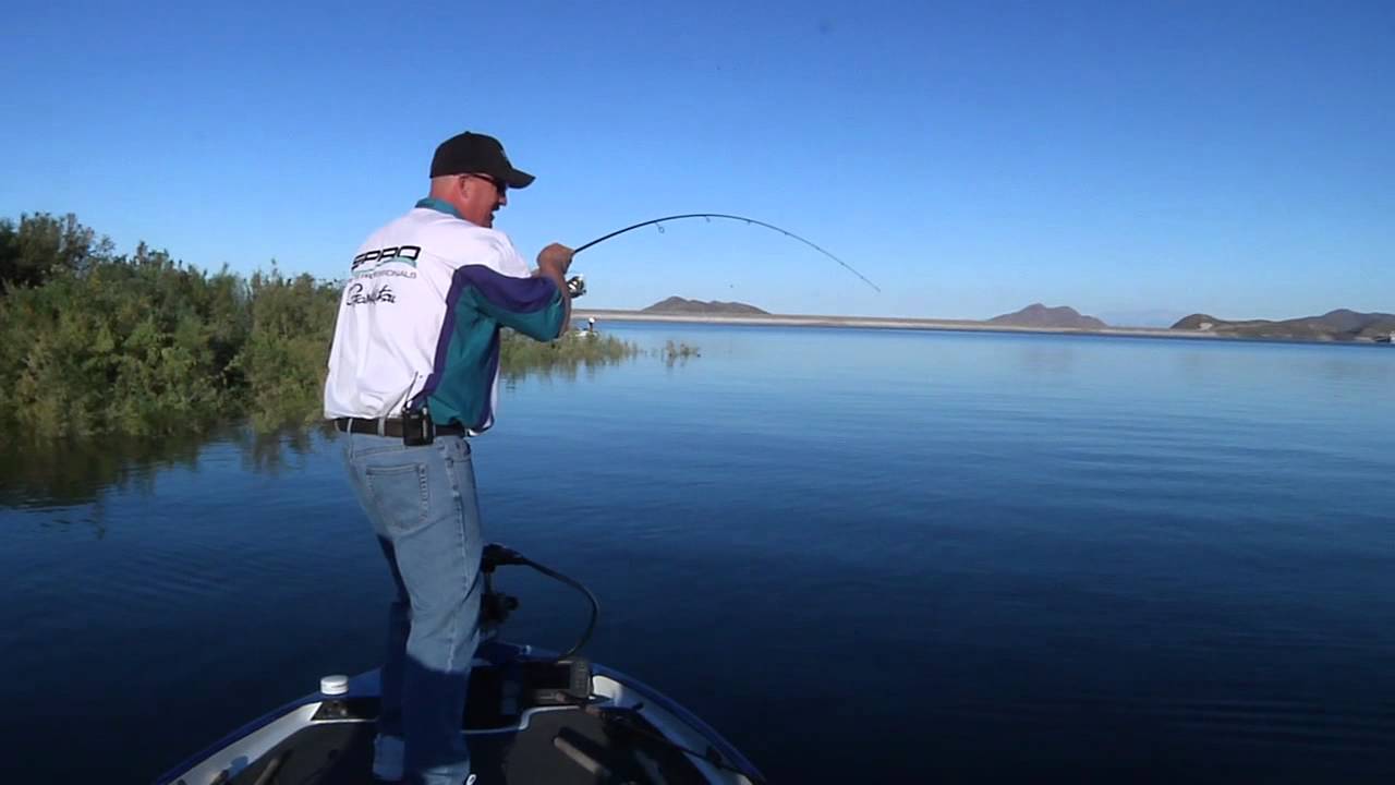 Catching bass in the shadows (60' deep) - YouTube