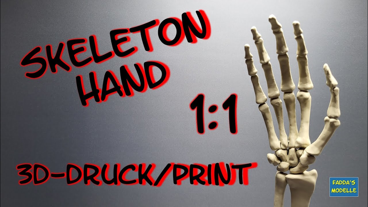 Skeletthand/Skeleton Hand - 1:1 - Resin 3D #resin #skeleton #lifesize ...