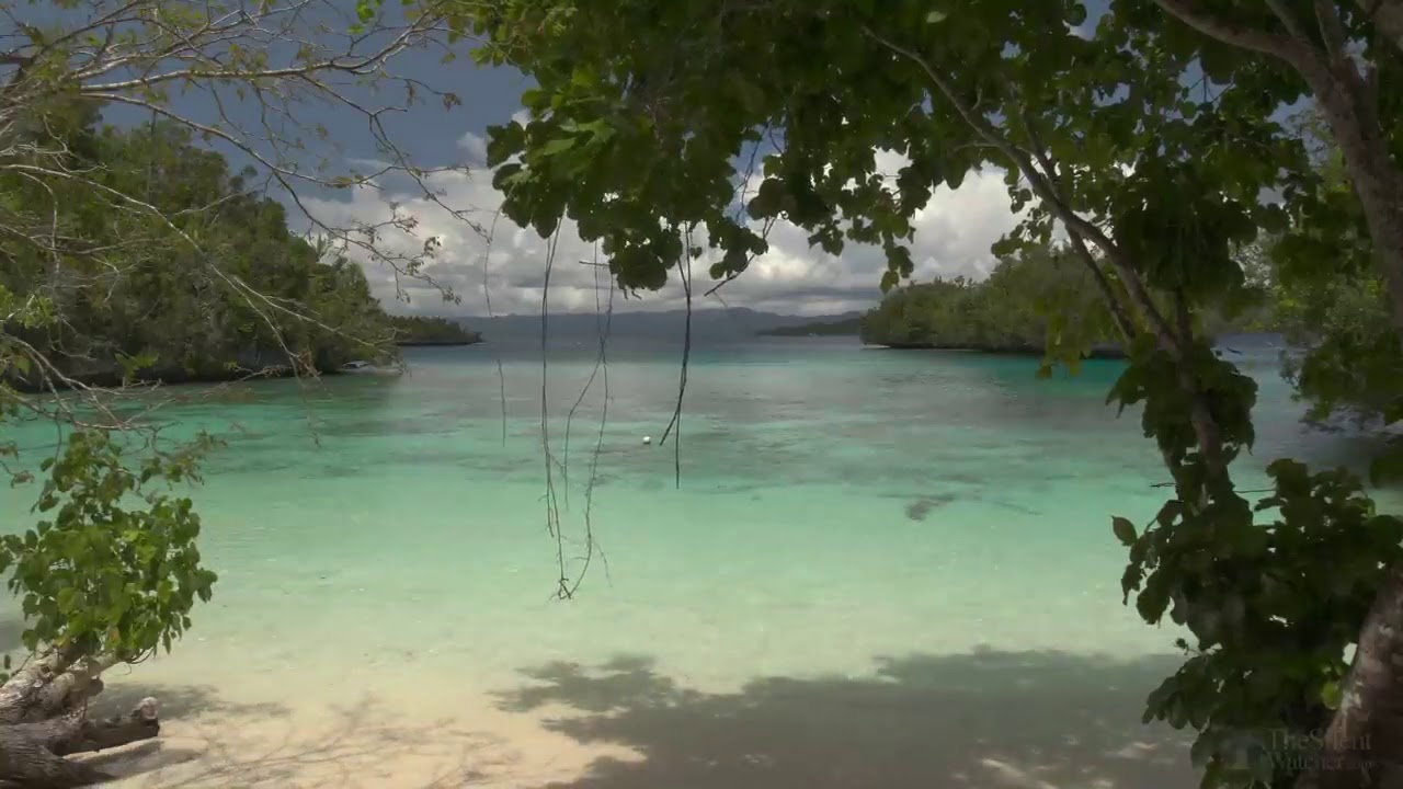 4K HDR Calm Waves - 10 Hours - Relaxing Ocean Wave Sounds - Tropical ...