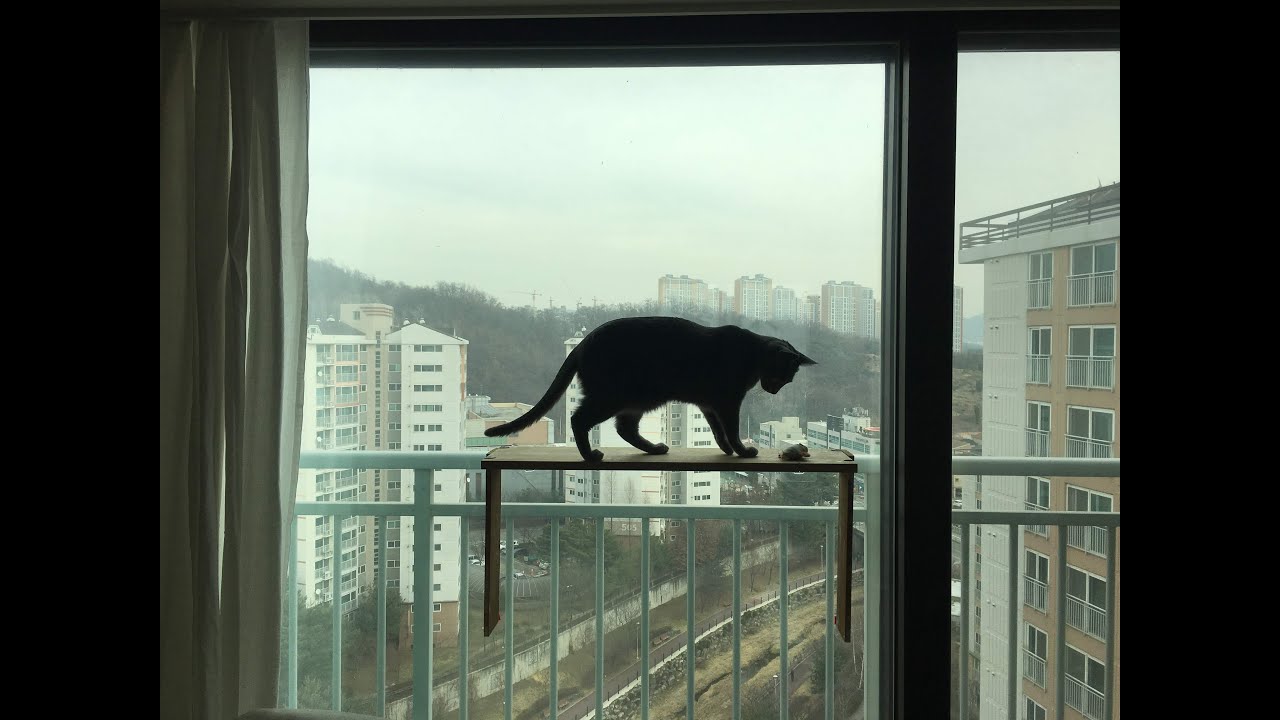 창문 고양이 선반 // DIY window cat shelf - YouTube