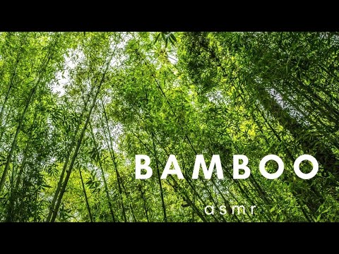 bamboo sounds ~ asmr - YouTube