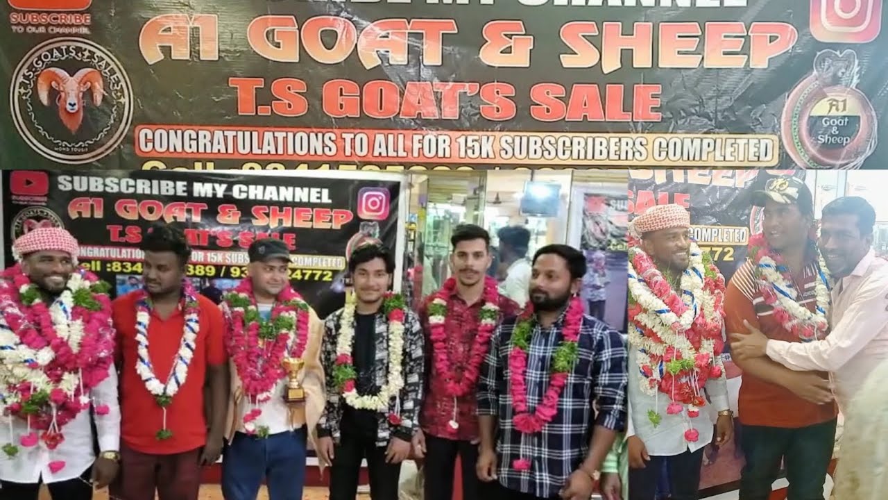 'A1 goat and sheep' 15k subscribers celebration - @jameelcollection ...