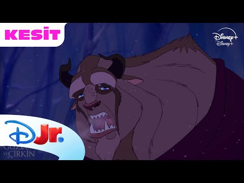 Belle’in Cesur Orman Macerası 🐺🌲 | Güzel ve Çirkin | @DisneyPlusTR