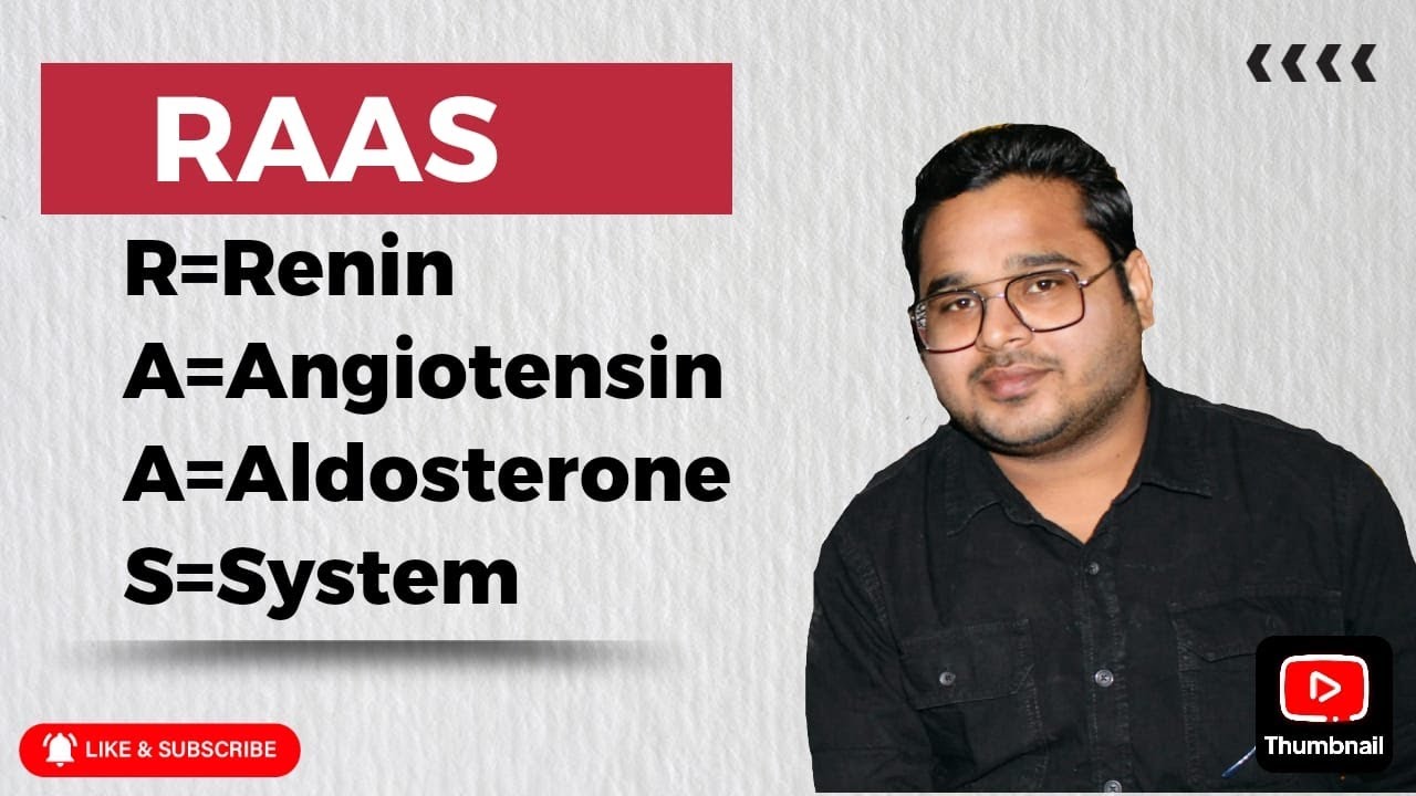 Renin Angiotensin Aldosterone System (RAAS) II Class - XI : Excretion ...