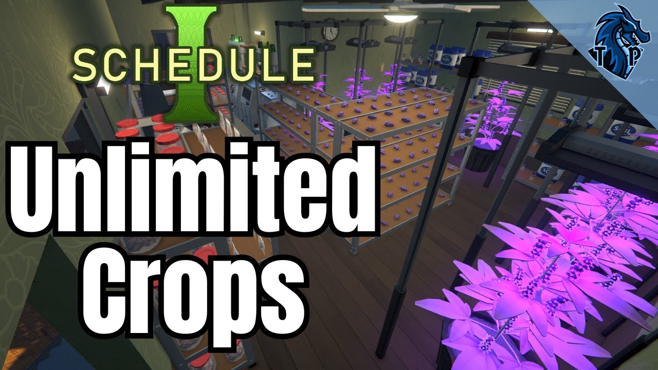 Ultimate Sweatshop Setup in Schedule 1 – Best Production Build ...