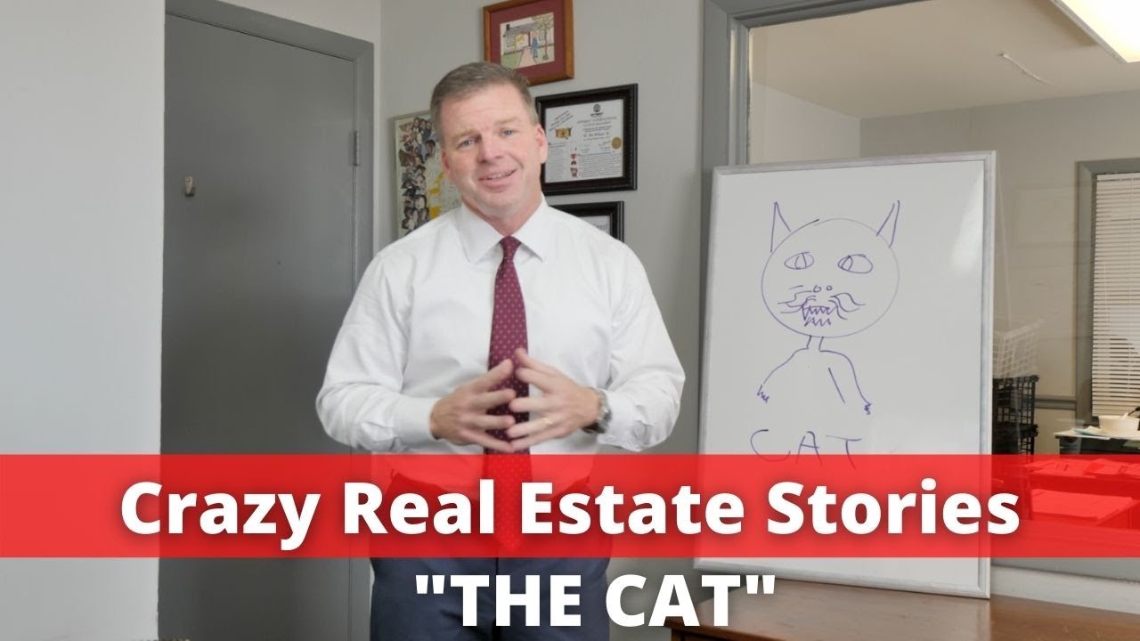 Crazy Real Estate Stories | The Cat - YouTube