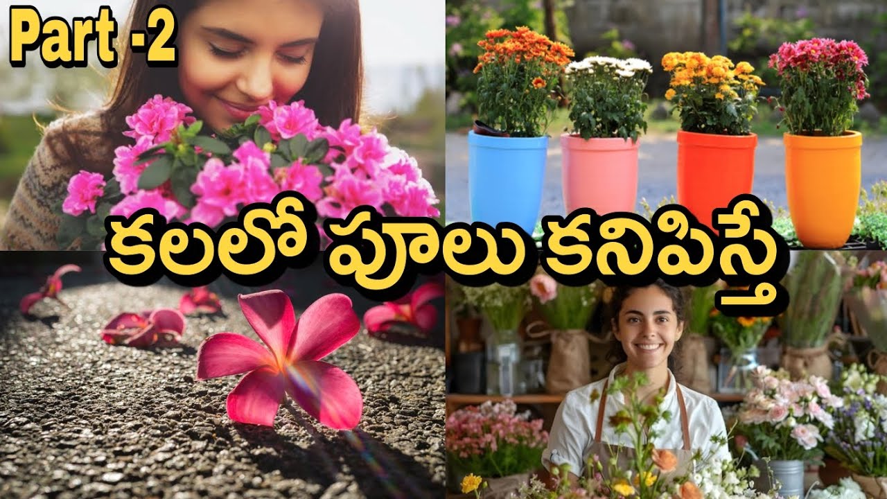 Kalalo Flowers Kanipisthe | Dreams In Telugu | Laxmi Devotional - YouTube