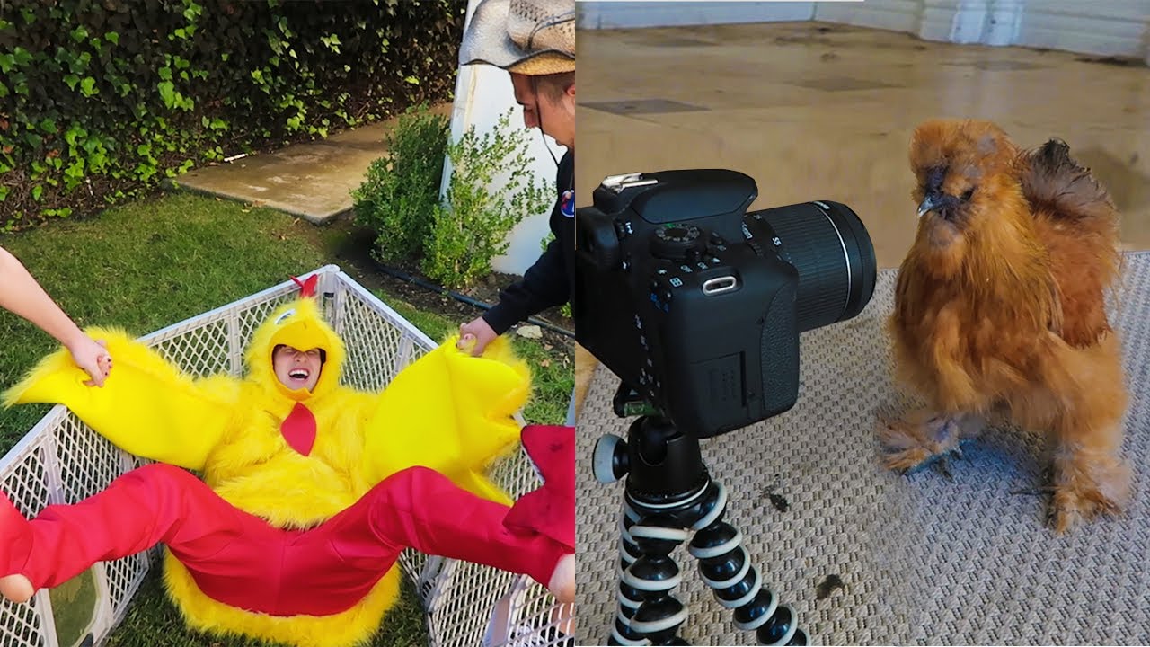 SWITCHING LIVES WITH A CHICKEN - YouTube