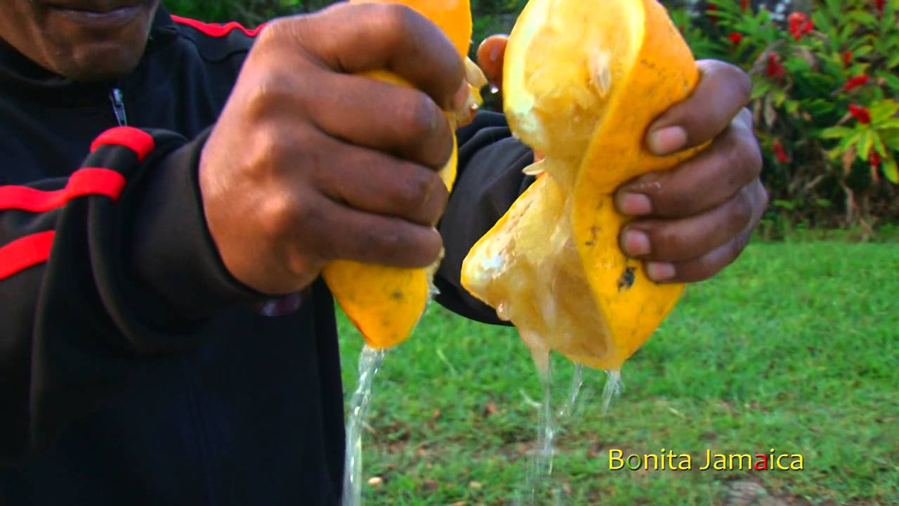 The World's Largest Lemon - YouTube