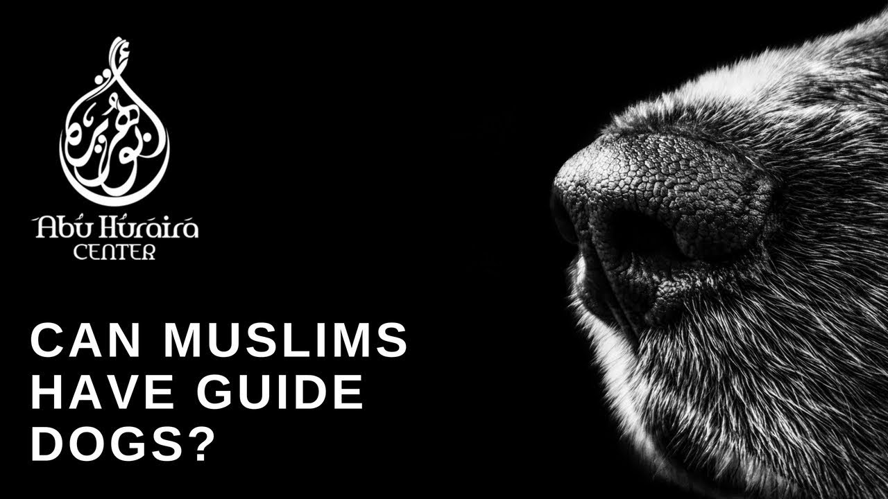 Can a Muslim Have a Guide Dog? - Sh. Dr. Uthmaan Al-Khamees | الشيخ د ...