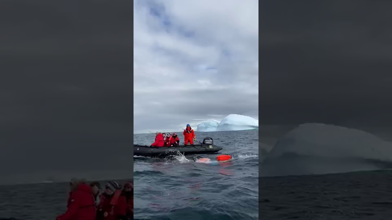 ANTARCTICA SWIM 2020 - YouTube