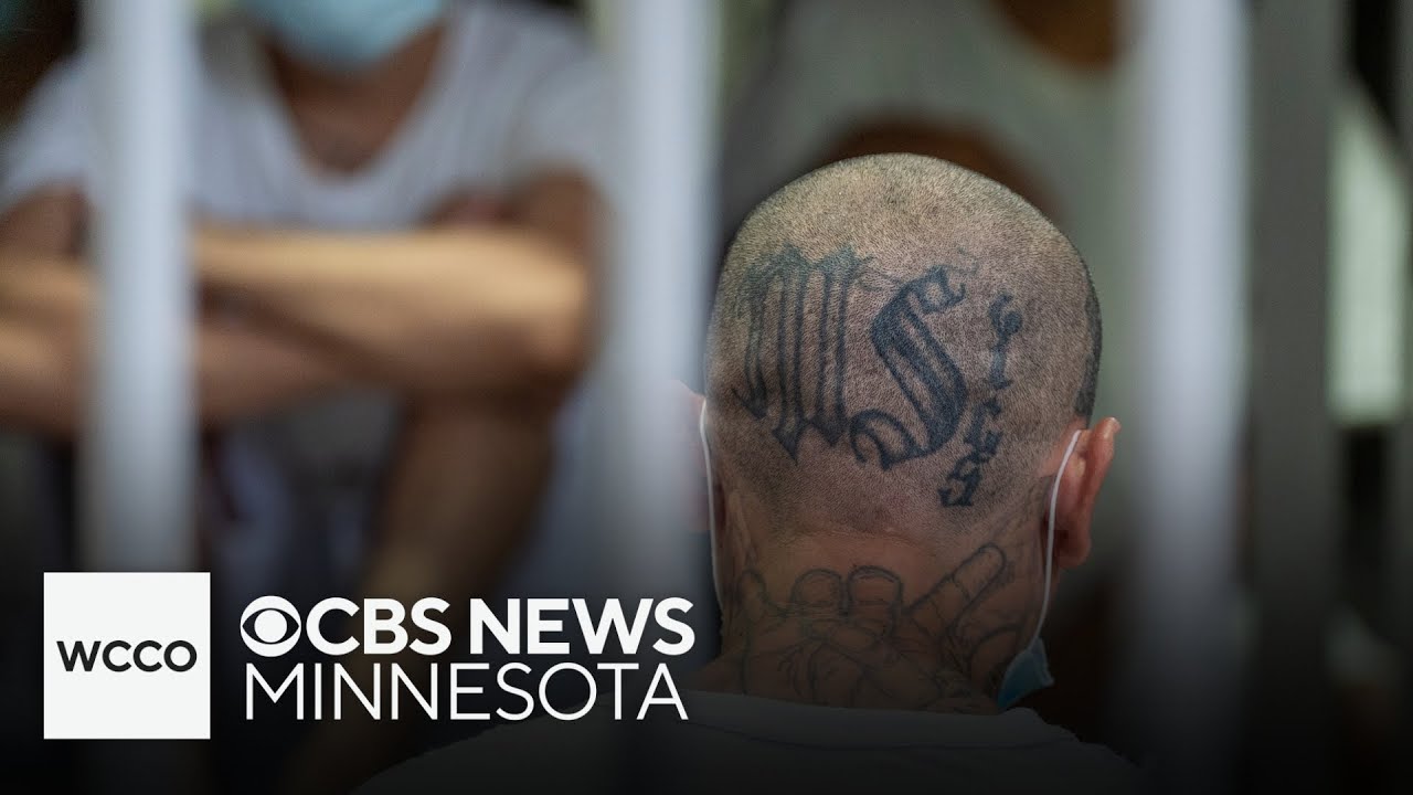 Alleged MS-13 gang member arrested in Minnesota facing murder charge ...