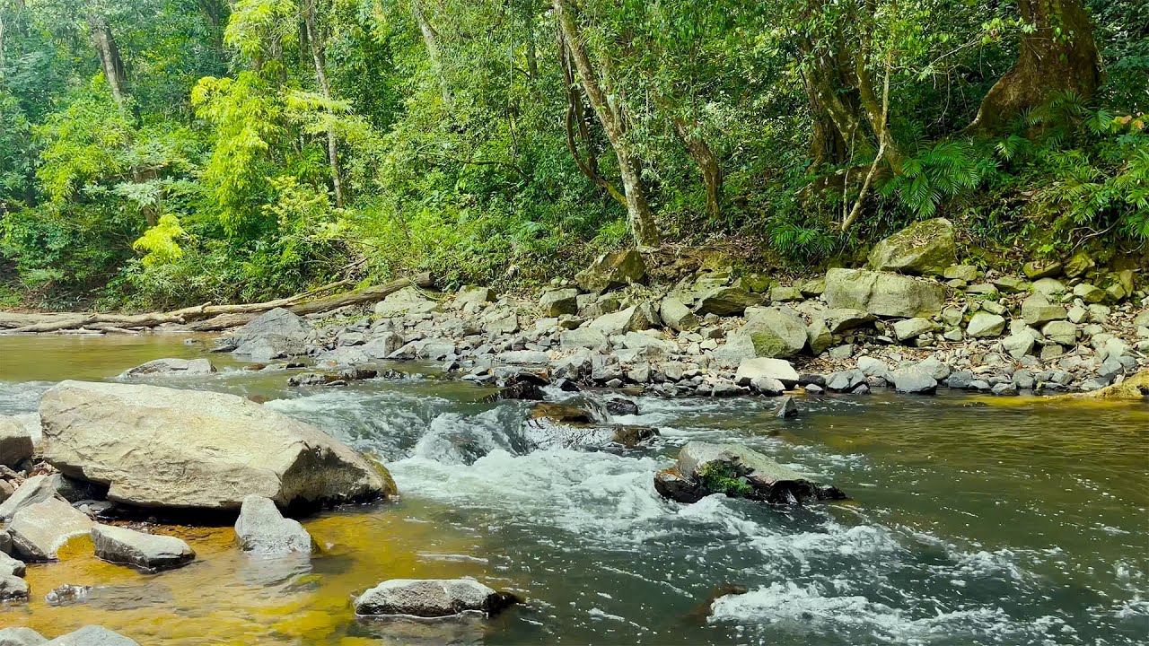 【自然音】せせらぎ - 8 / 6 Hour Nature Sounds - Babbling Brook Sounds - YouTube