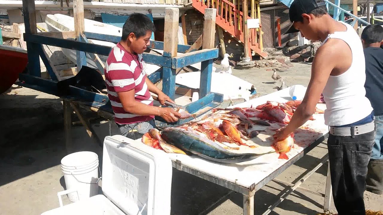 Fishing Popotla BC Mexico - YouTube