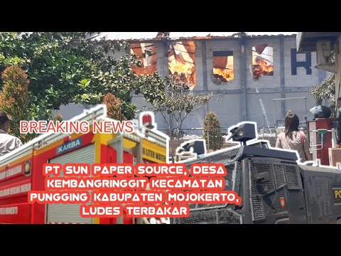 PT Sun Paper Source, Desa Kembangringgit Kecamatan Pungging Kabupaten ...