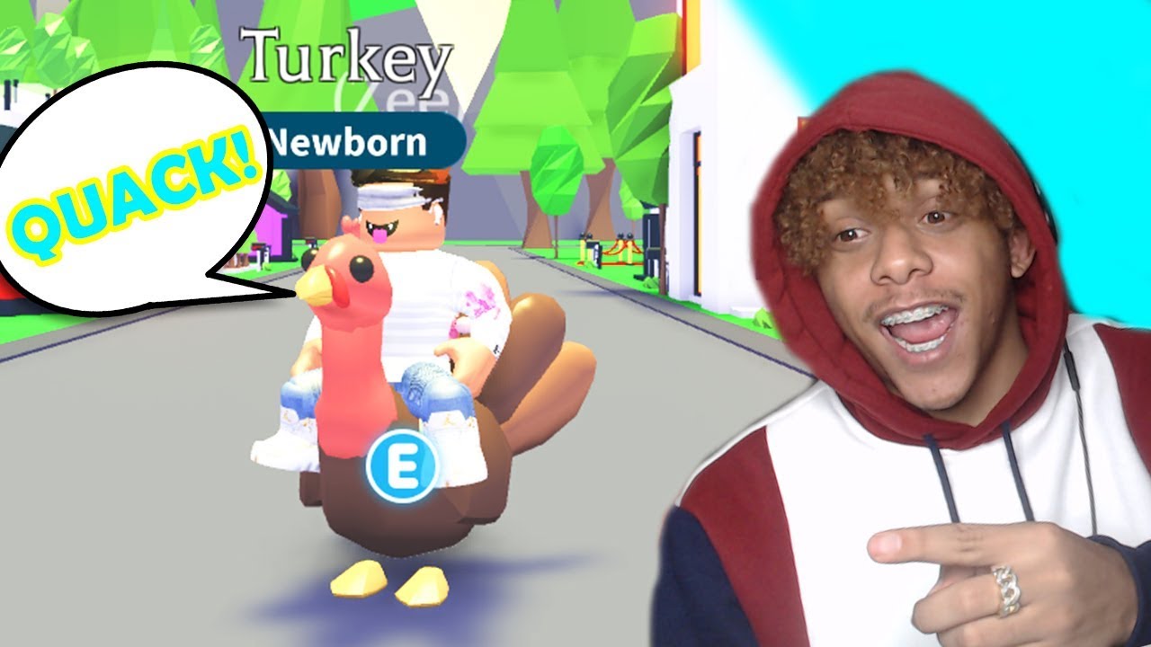 NEW FARM PETS IN ADOPT ME! (ROBLOX) *NEW UPDATE* - YouTube