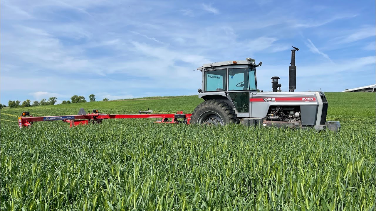 Triticale for silage! SUPER THICK CROP! - YouTube