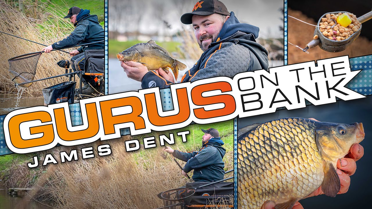 Spring Pole & Feeder Fishing Tips - YouTube