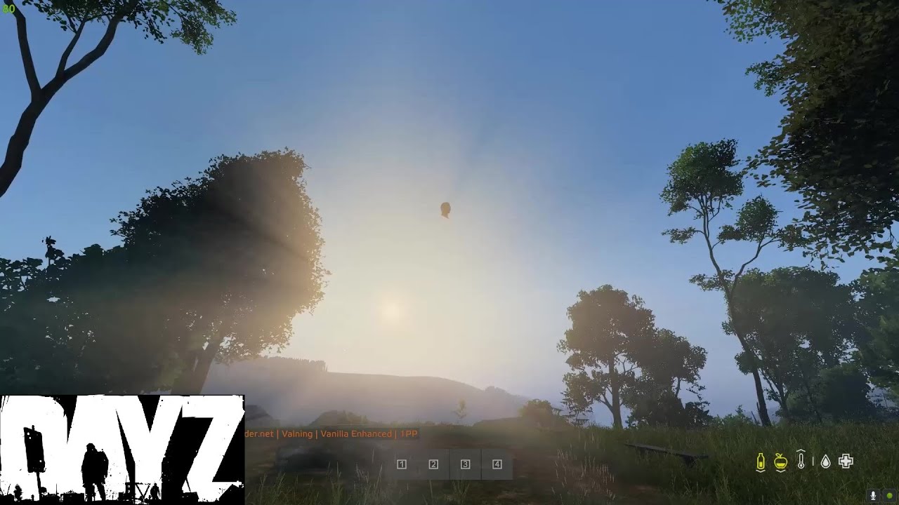 The Floating head - Dayz - YouTube