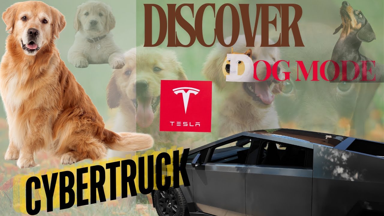 Tesla Dog Mode - YouTube