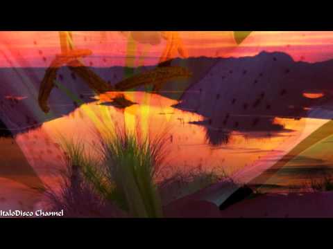 D J  Savage - In The Night