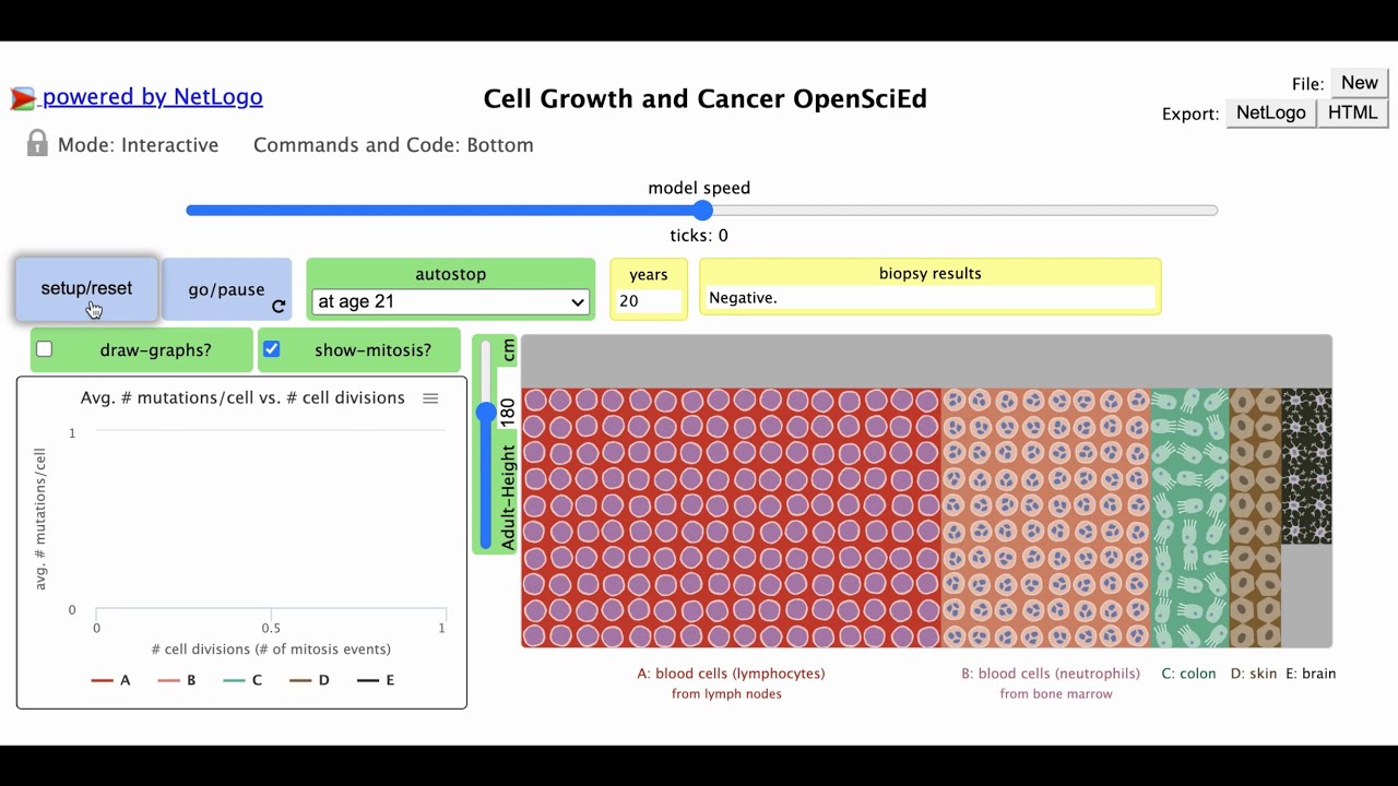 B.3 Lesson 4 Screencast - Cell Growth and Cancer Simulation - YouTube
