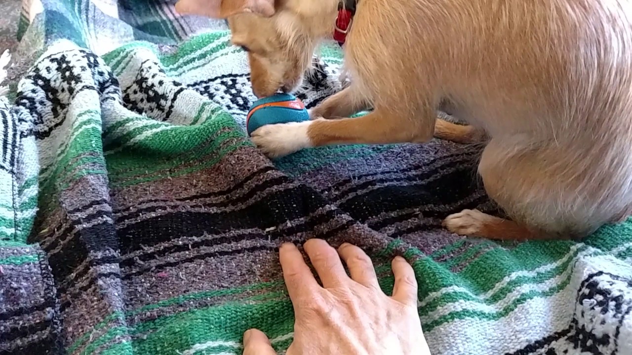 Crawling hand - YouTube