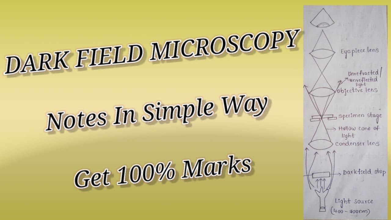 Dark field microscopy notes||pinciple and working ||Advantages and ...