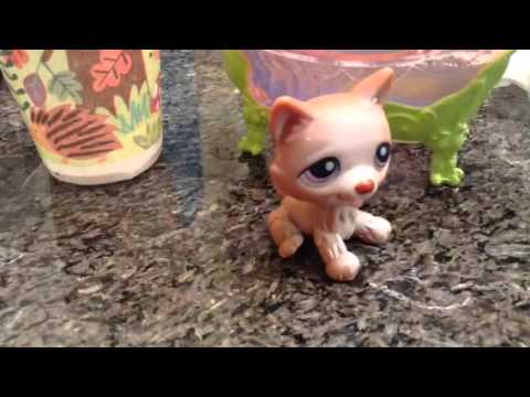 LPS BATH TIME! - YouTube