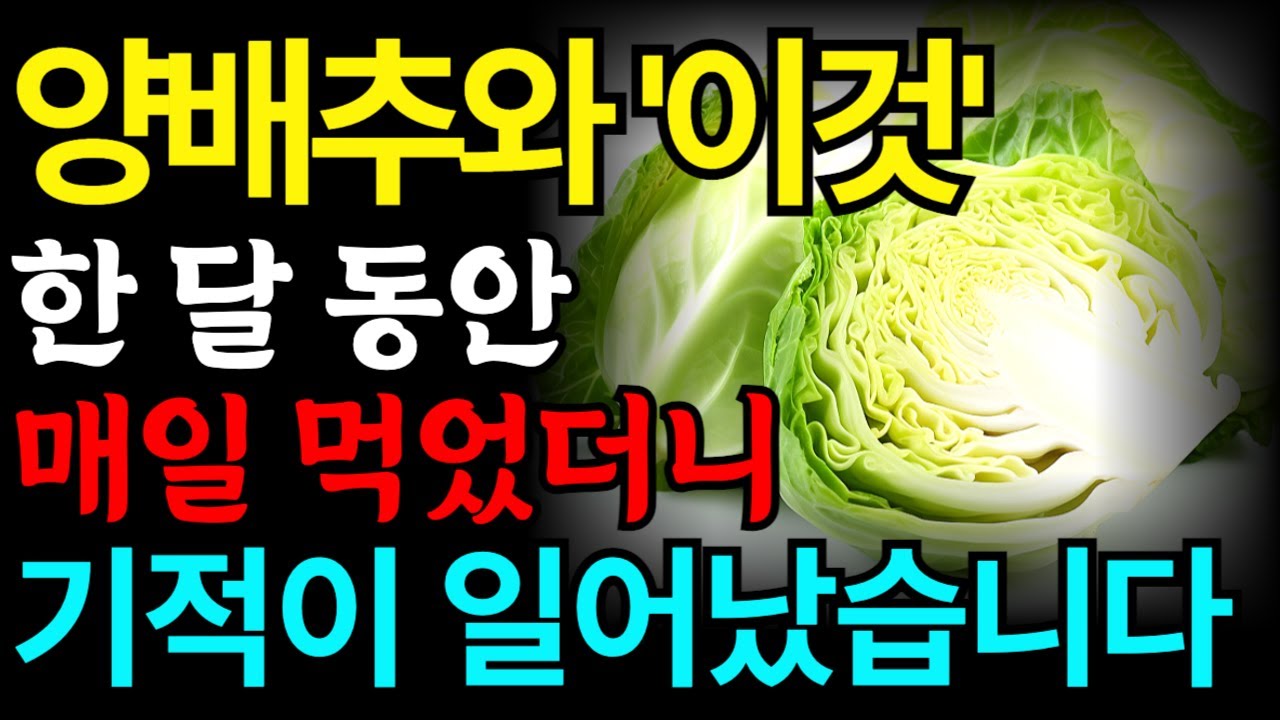 30일 동안 양배추를 매일 먹었더니 온갖 질병들이 사라졌습니다 노년에 양배추를 꼭 먹어야 하는 이유 함께 먹으면 보약이 되는