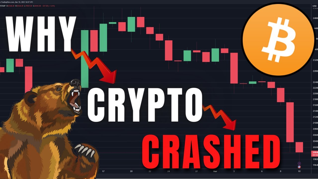 THE REAL REASON WHY THE CRYPTO MARKET CRASHED HAS FINALLY BEEN REVEALED ...